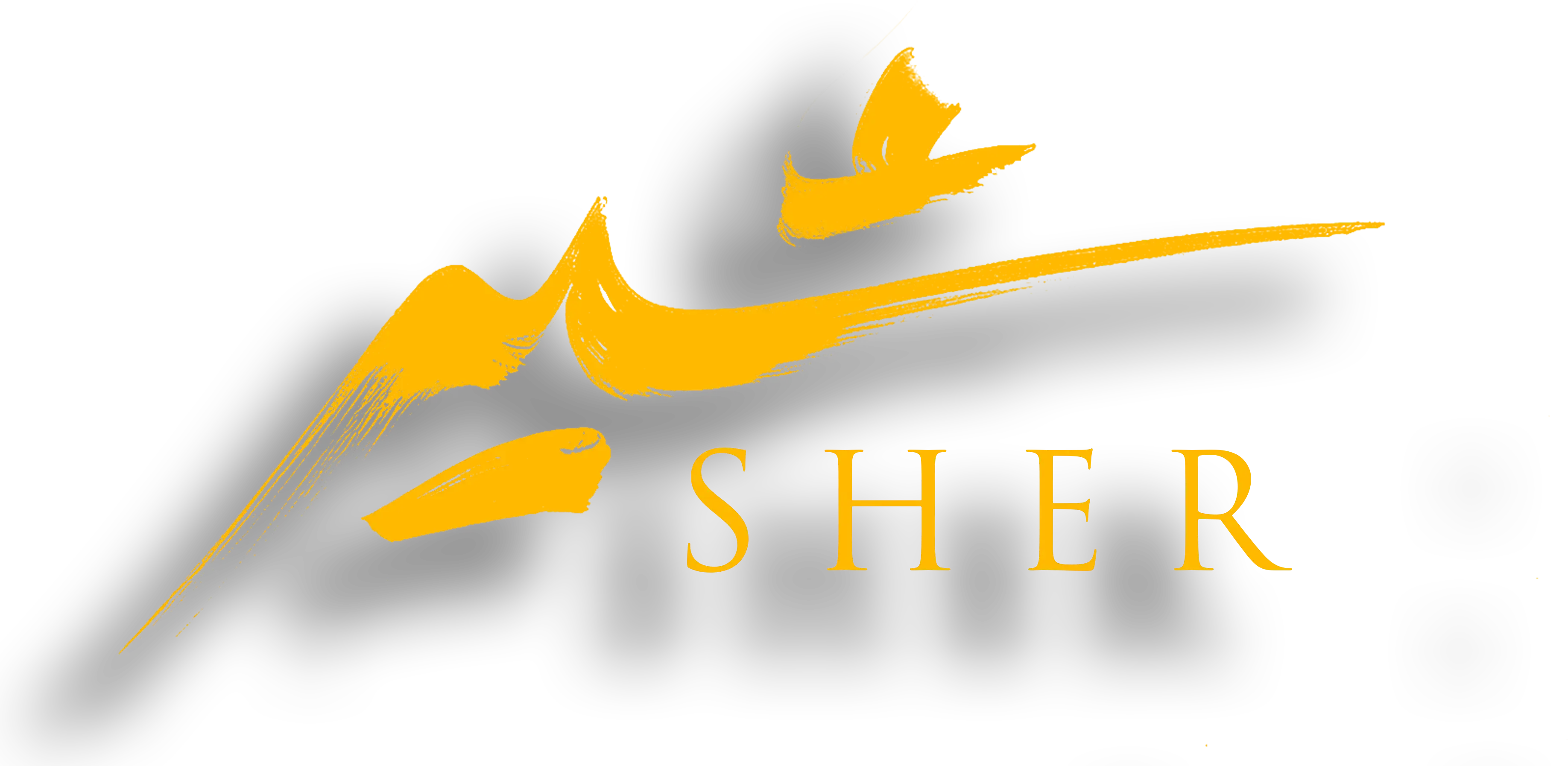 ARY ZAP - A Video Streaming Portal